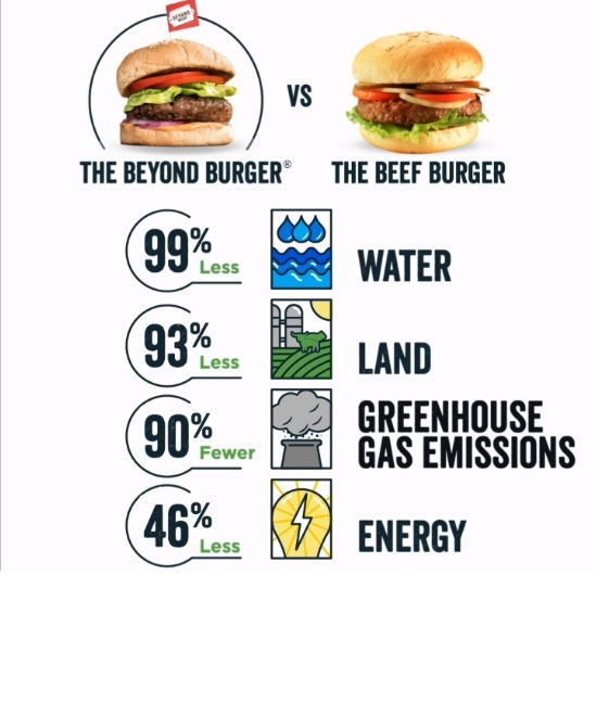 Is beyond meat good for the environment?