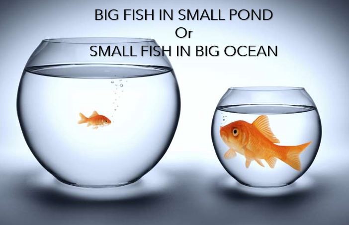 Is big fish better than small fish?