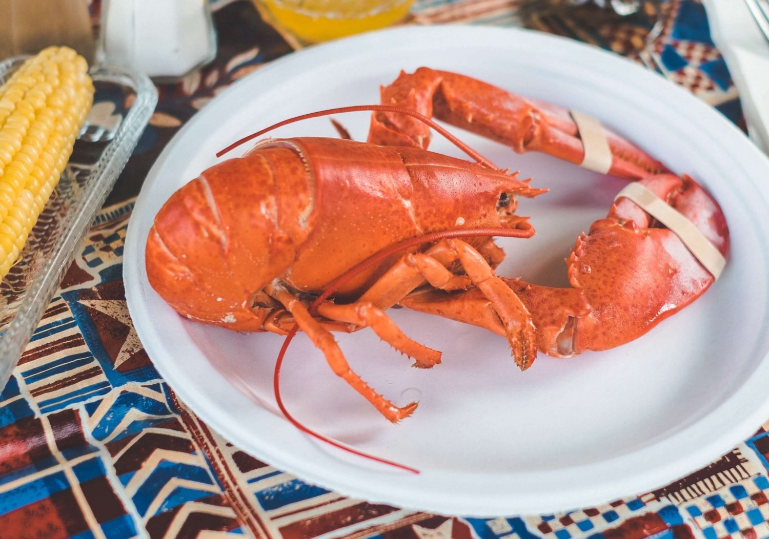 Is boiling lobsters banned in the UK?