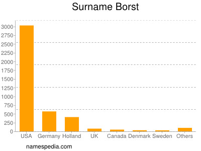 Is Borst a German name?