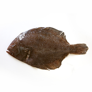 Is brill a strong tasting fish?