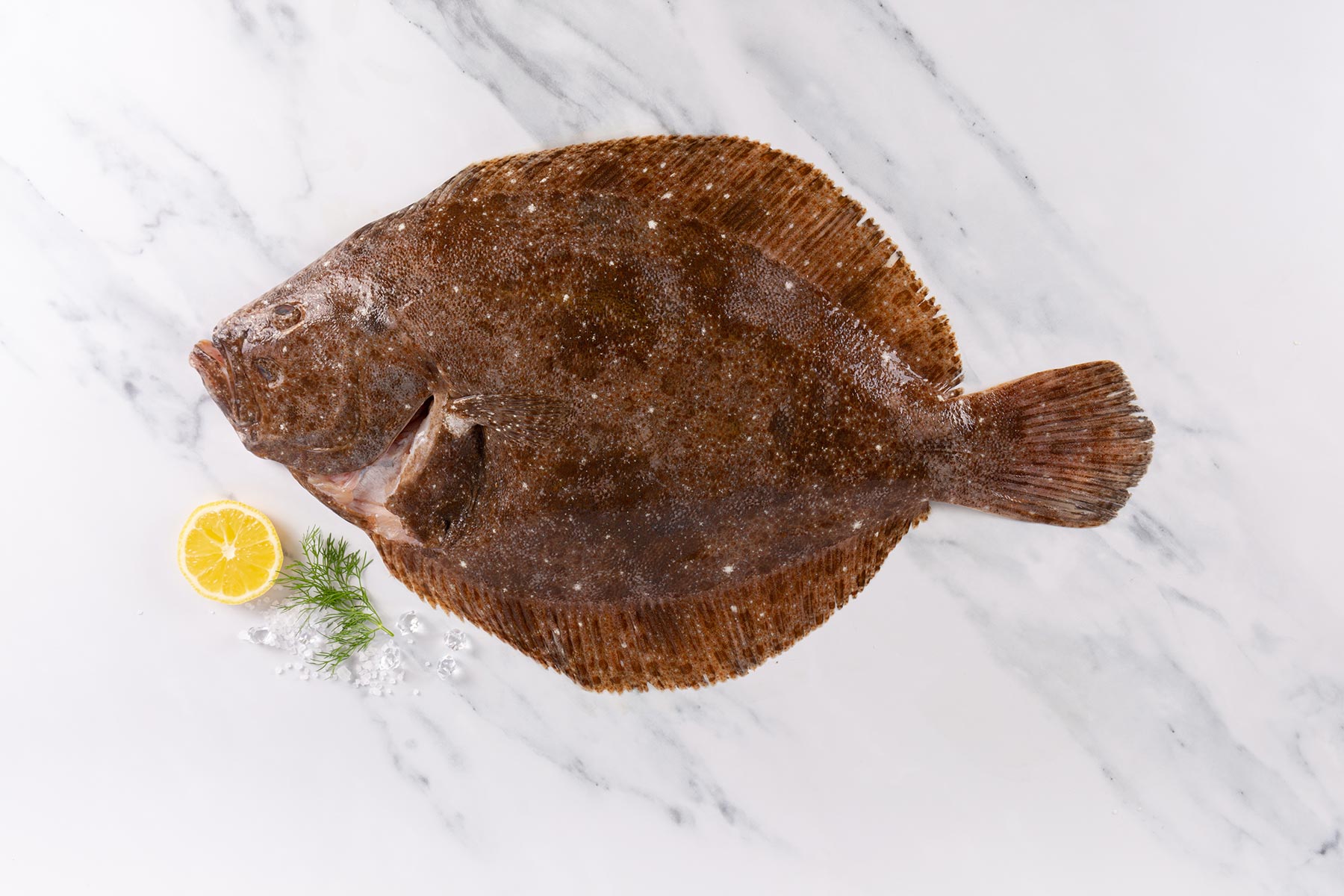 Is Brill fish expensive?