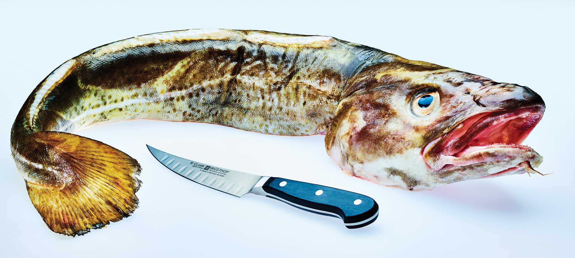 Is buying whole fish worth it?