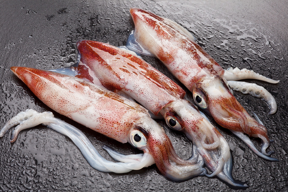 Is calamari healthier than fish?