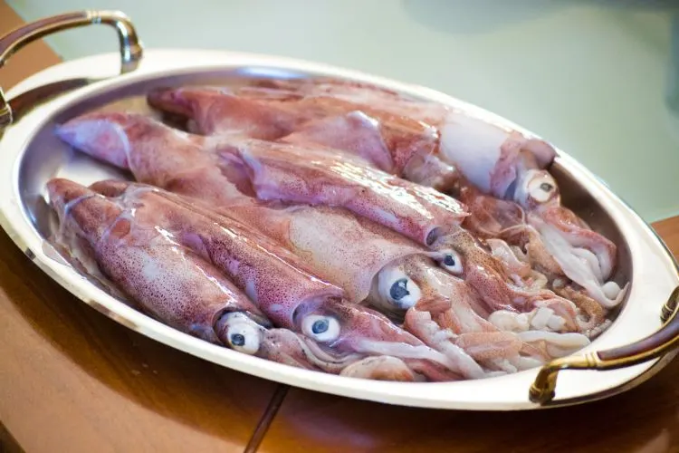 Is calamari squid Spanish?