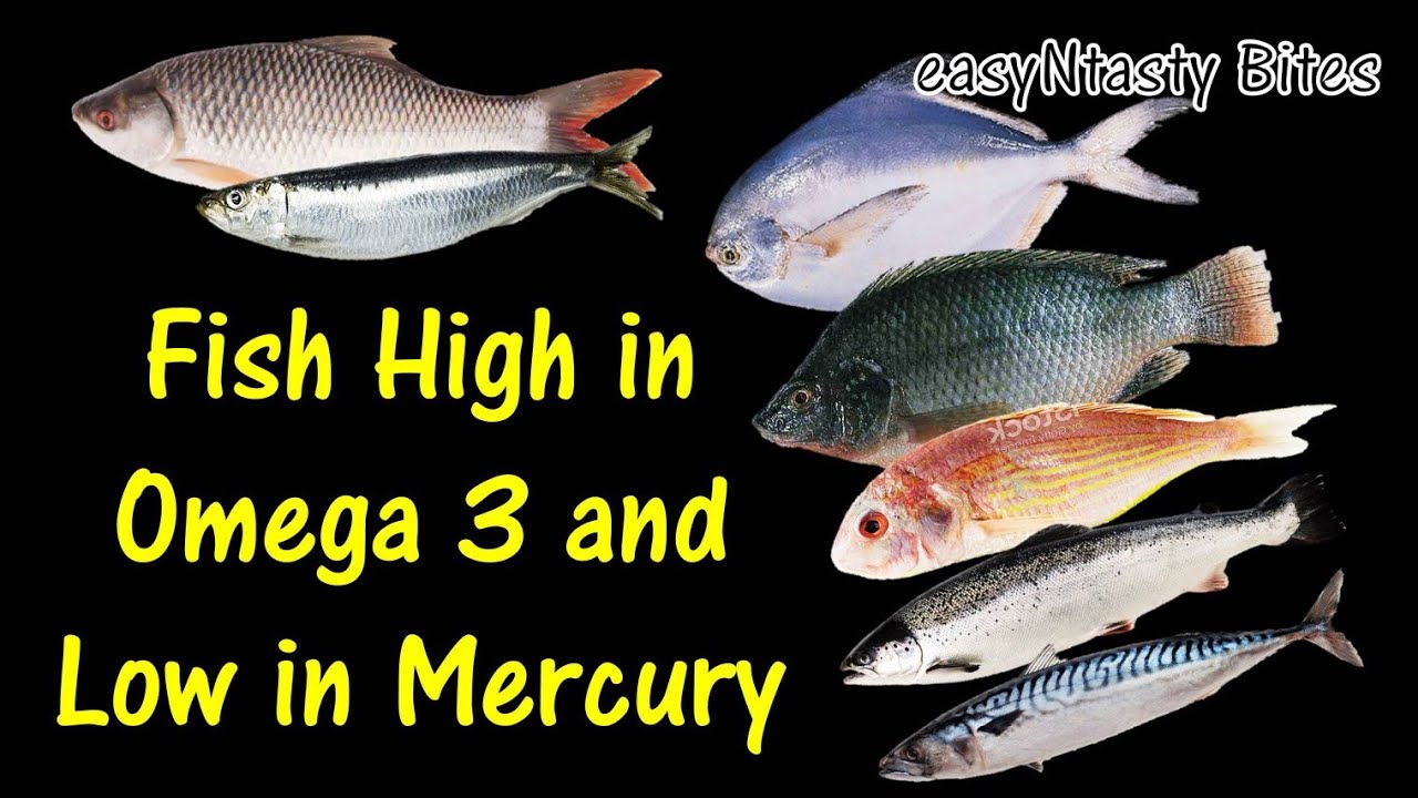 Is canned mackerel low in mercury?