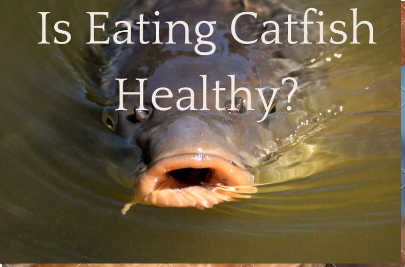 Is catfish healthy to eat?