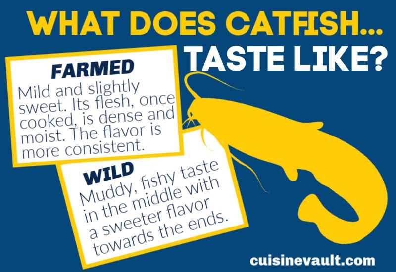 Is catfish mild or fishy?