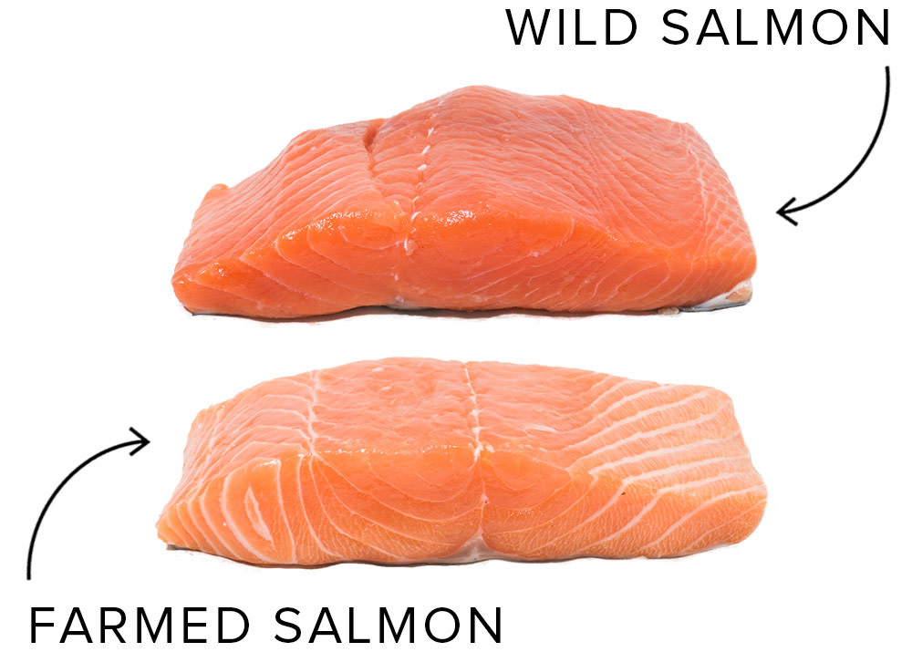 Is center cut salmon better?