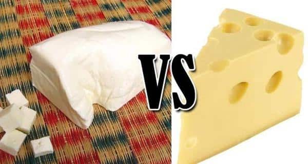 Is cheese and paneer both are same?