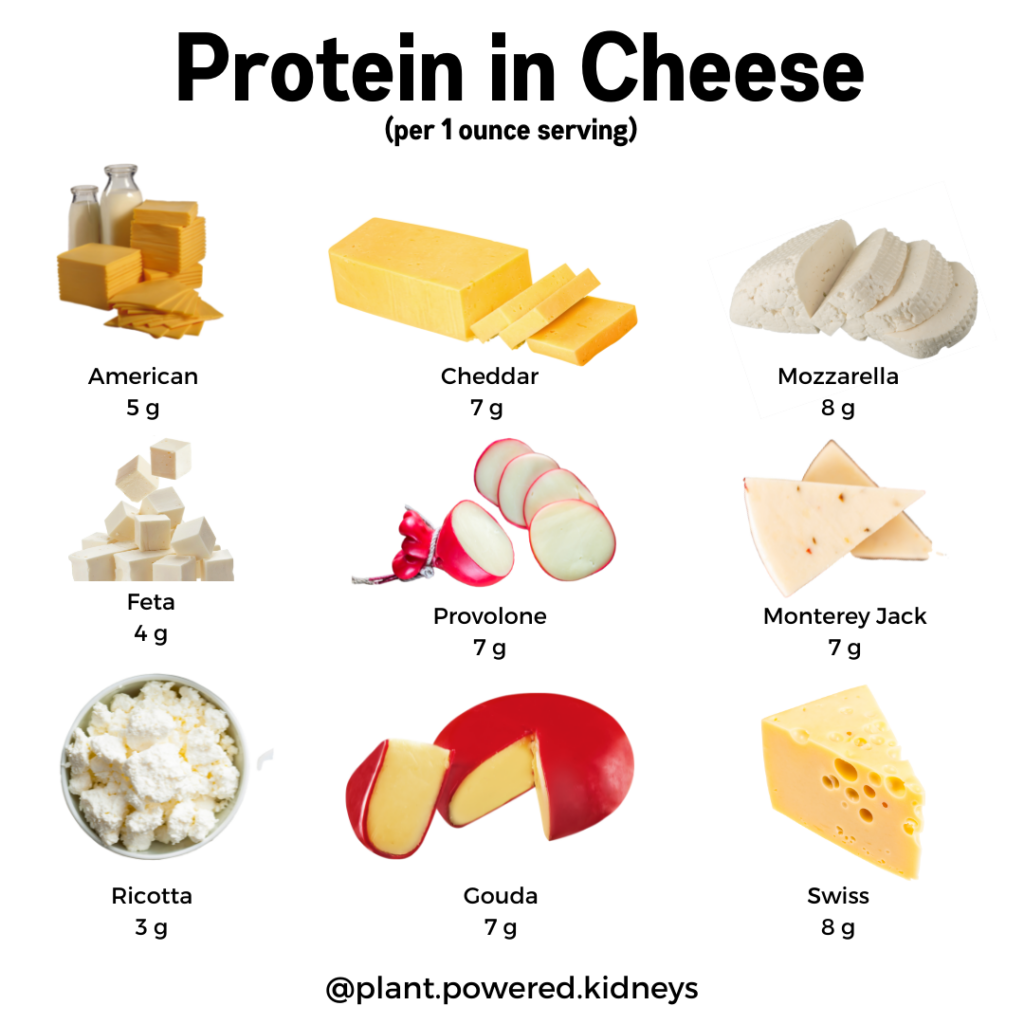 Is cheese high or low in protein?