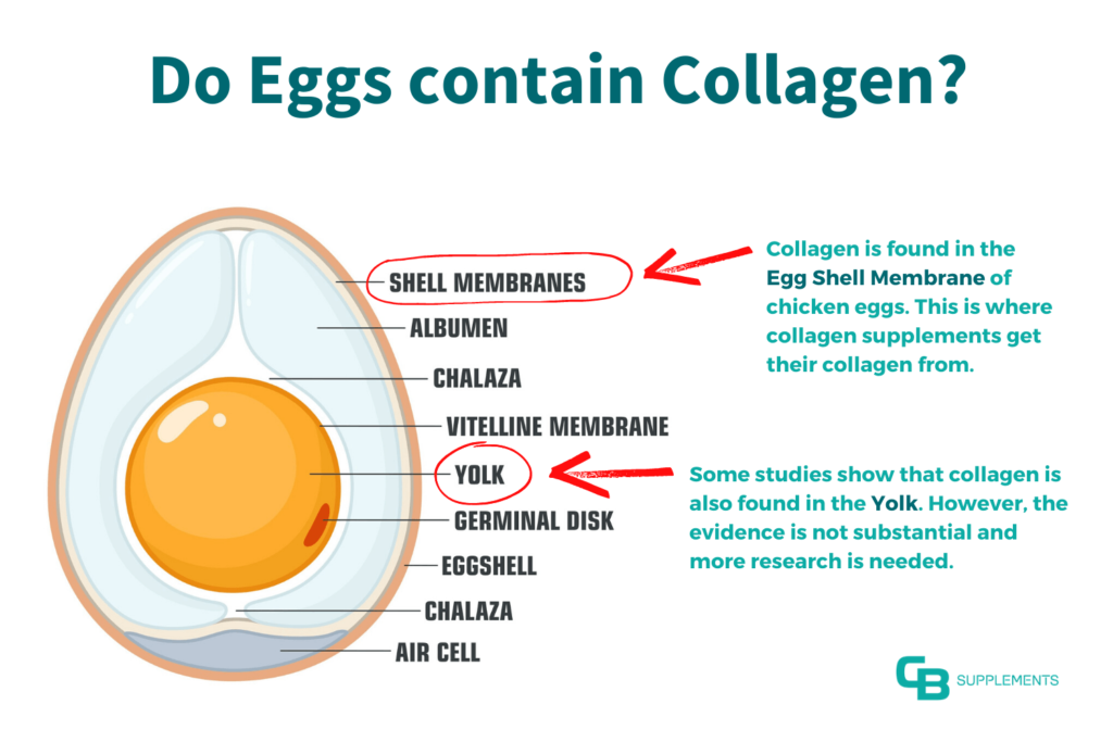 Is chicken high in collagen?