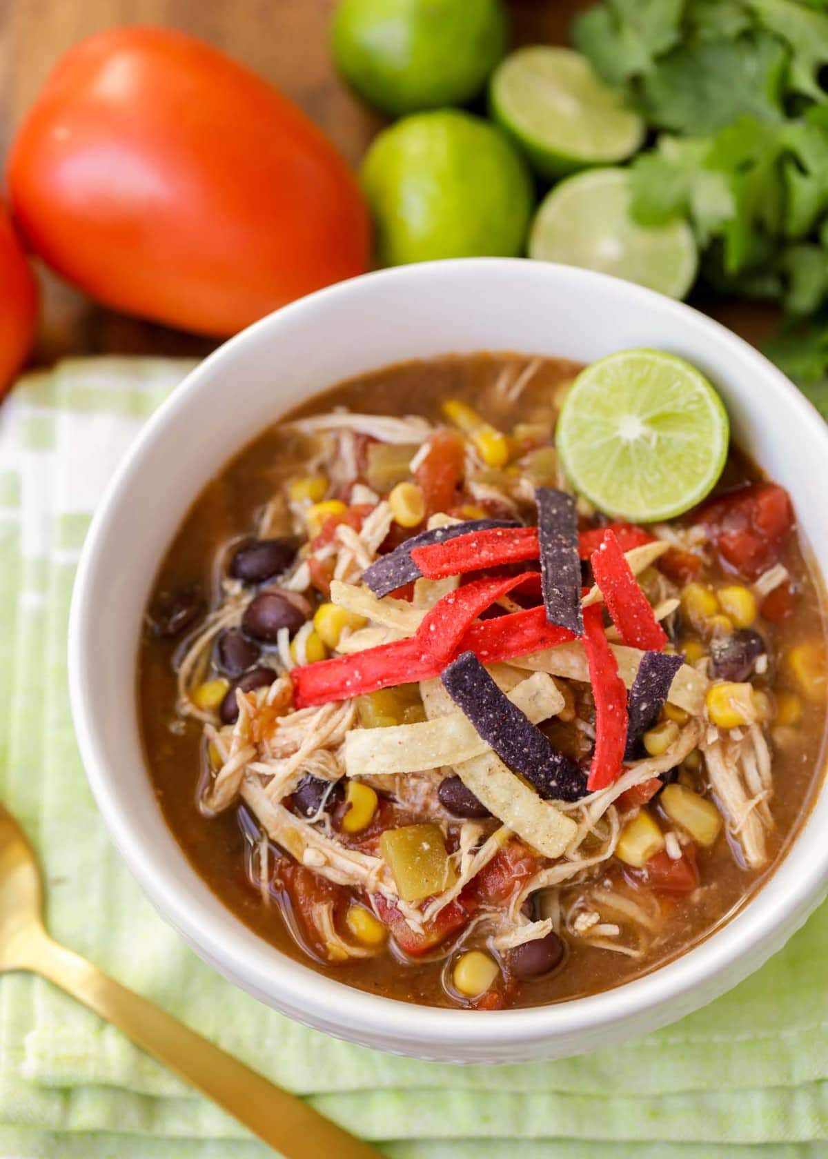 Is chicken tortilla soup good for cholesterol?