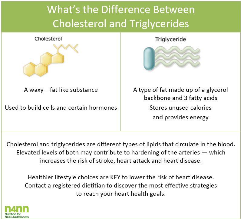 Is cholesterol a fatty acid or triglyceride?