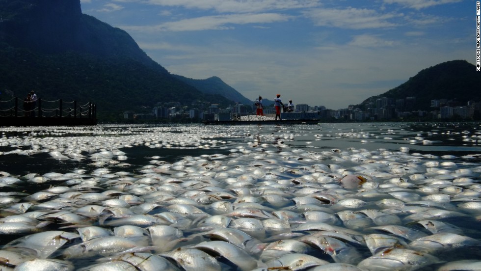 Is climate change killing fish?