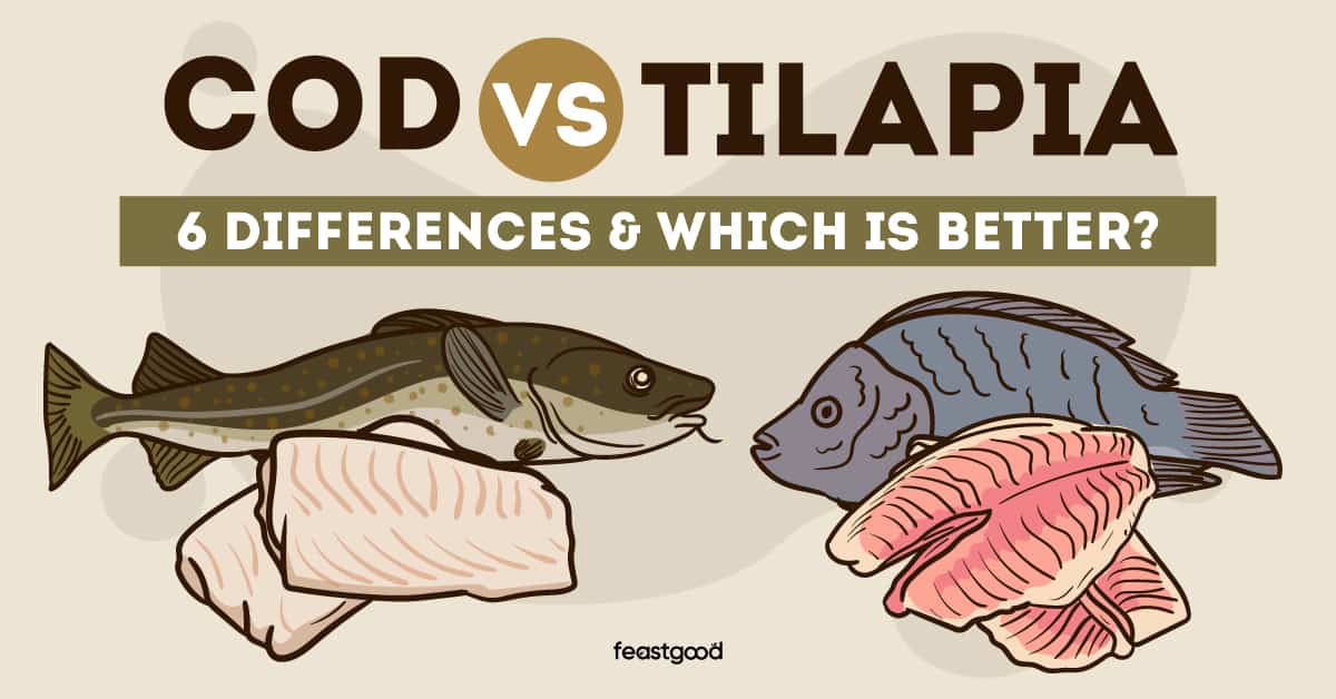 Is cod fish better than tilapia?