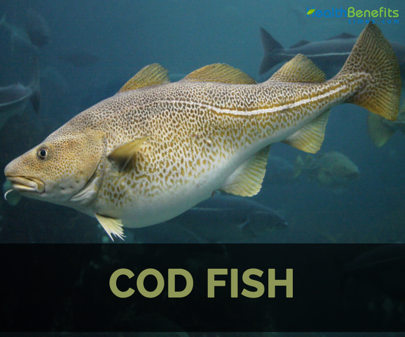 Is cod fish unhealthy?
