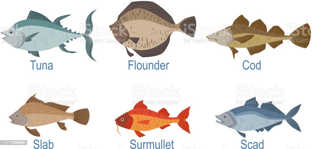 Is cod similar to flounder?