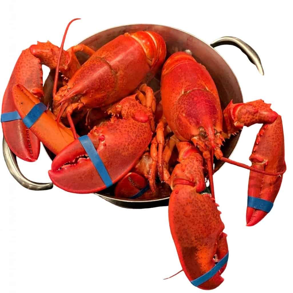 Is cold water lobster better than warm water lobster?