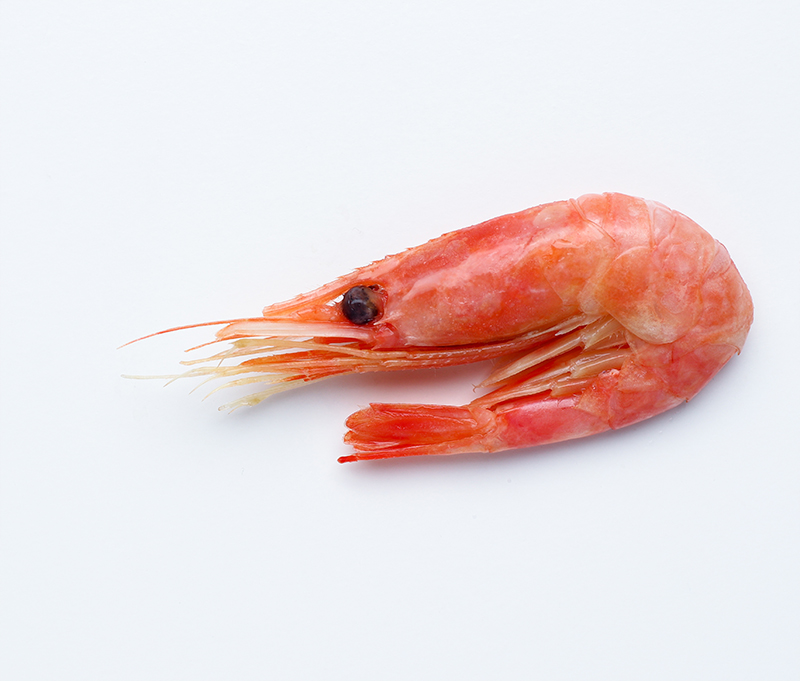 Is cold water shrimp or prawns better for You?