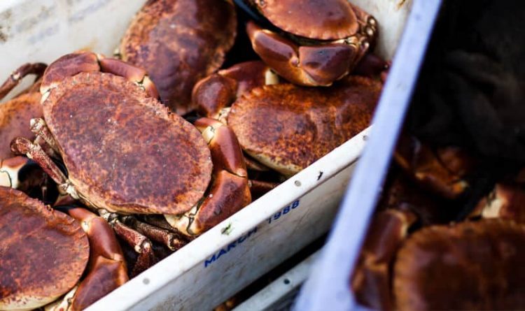 Is cooked crab good for you?