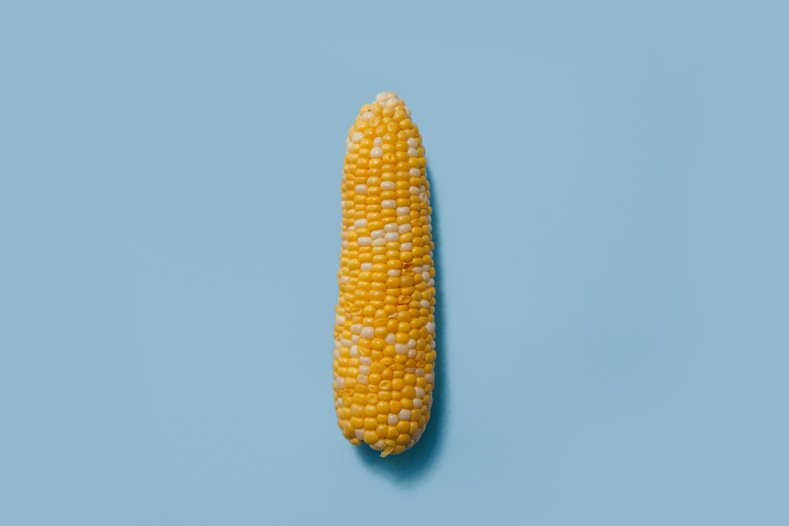 Is corn a vegetable or fruit?