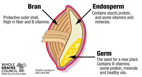 Is corn and grains the same thing?