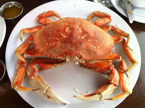 Is crab considered a meat?