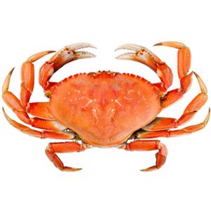 Is crab full of carbs?