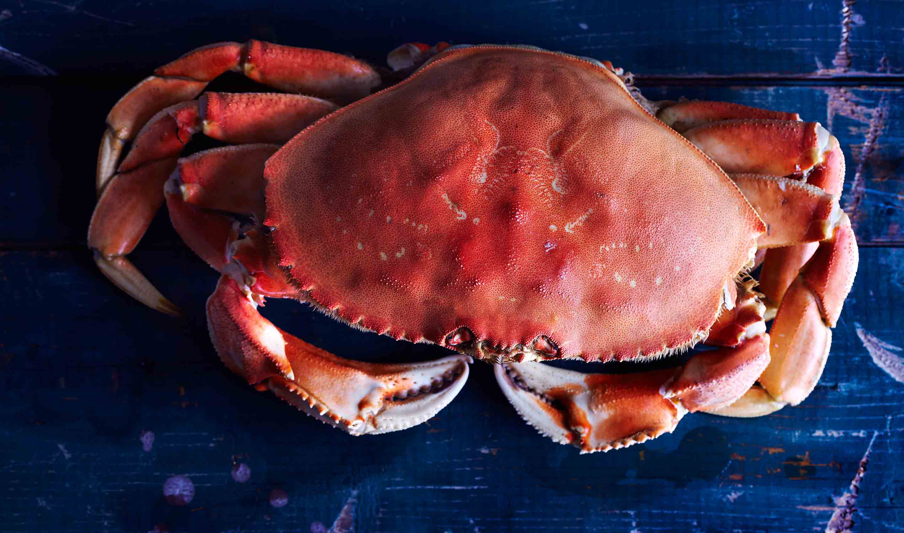 Is crab high in carbohydrates?