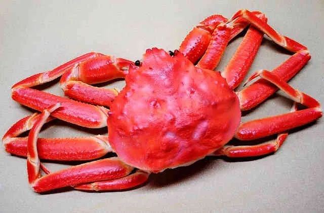 Is crab OK to eat raw?
