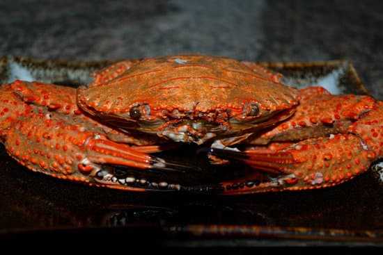 Is crab safe to eat after sitting out?