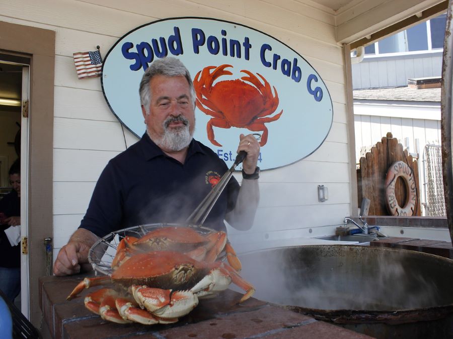 Is crab season Open in Bodega Bay?