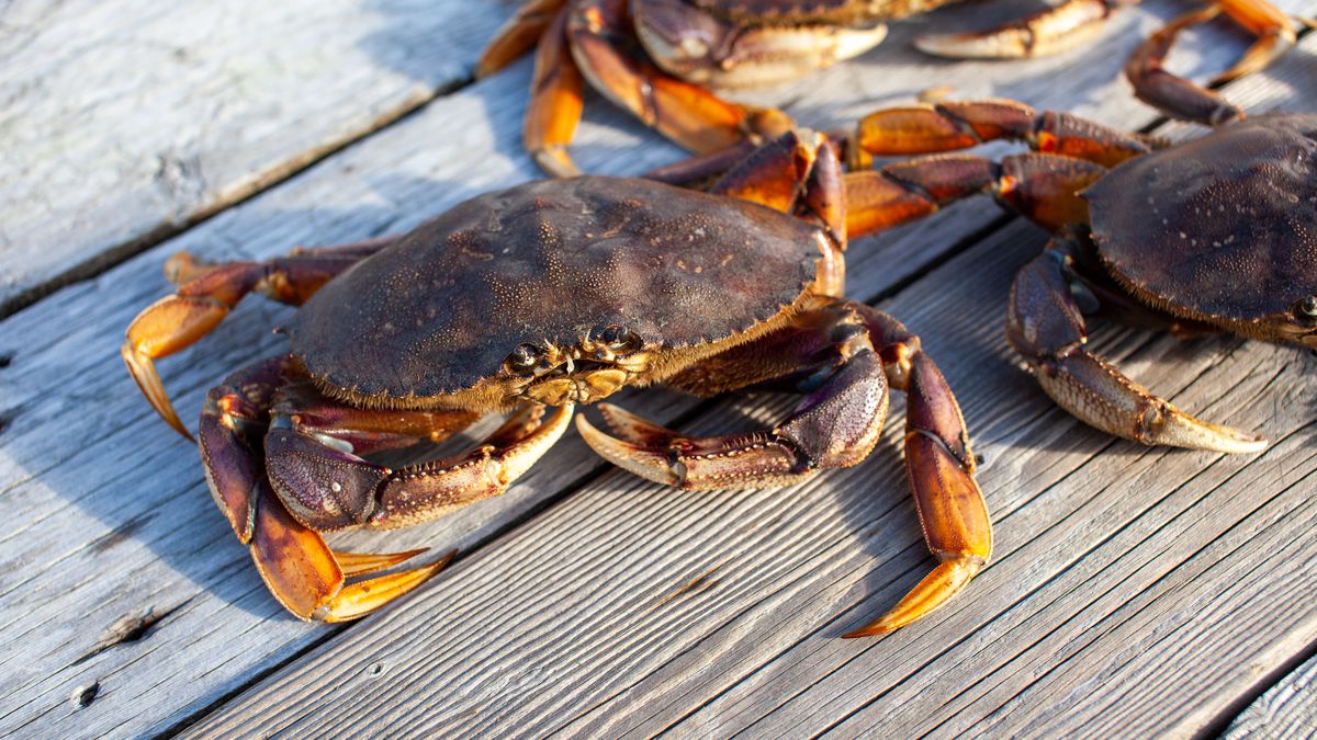 Is crab season over in the Bay Area?