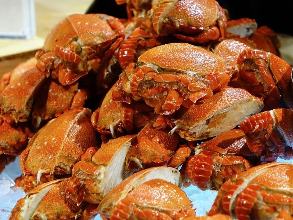 Is crab shell good for you?