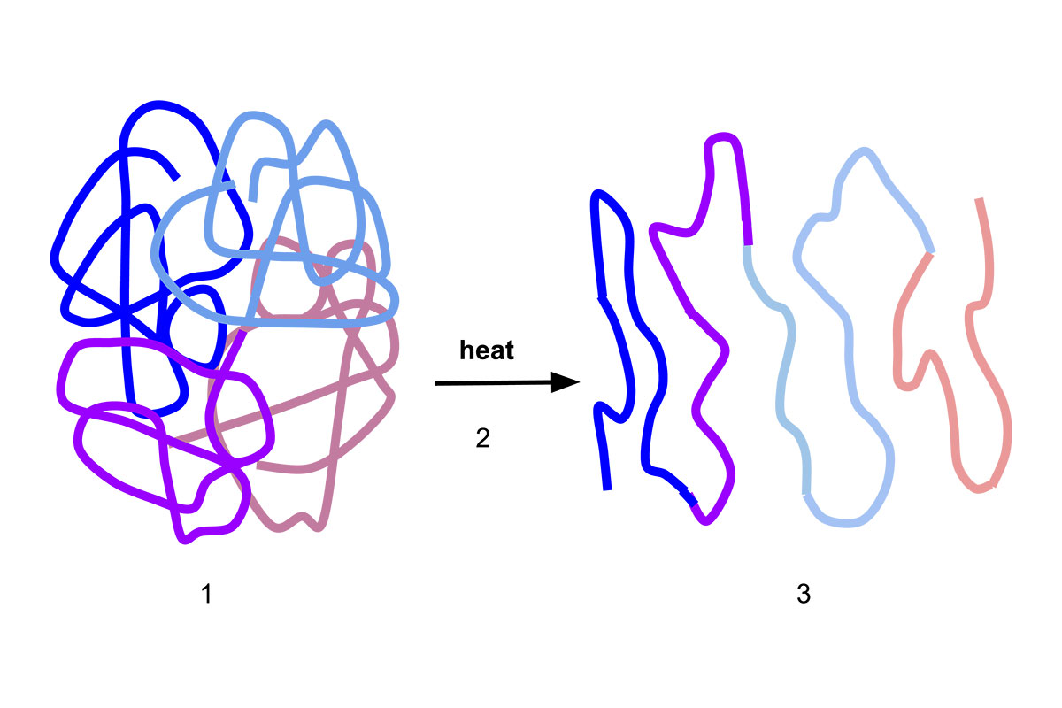 Is curdling protein denaturation?