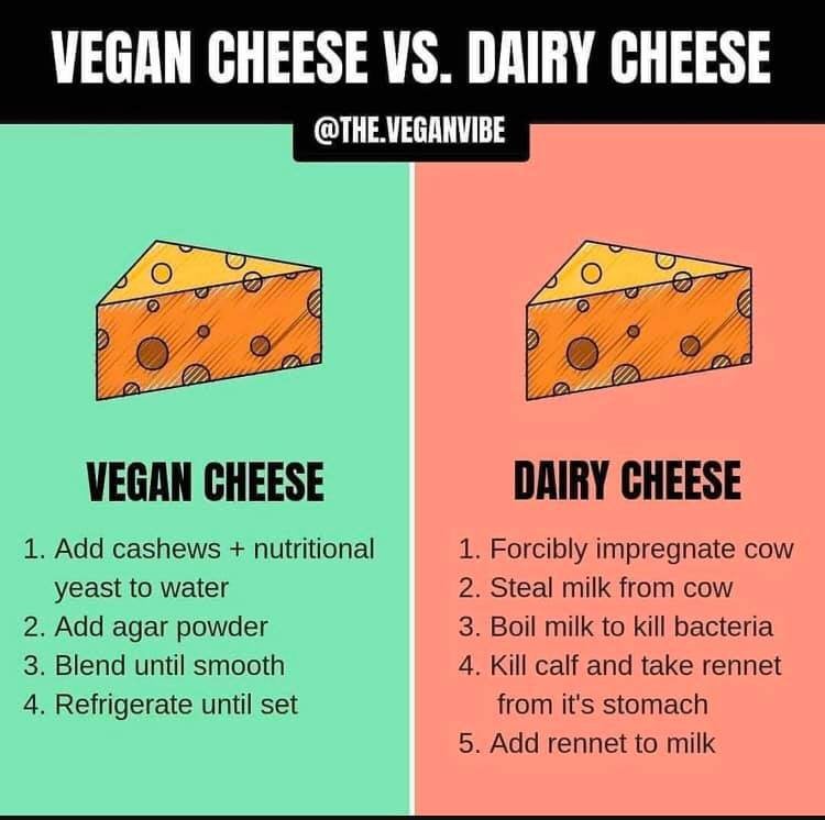 Is dairy free cheese better than dairy cheese?