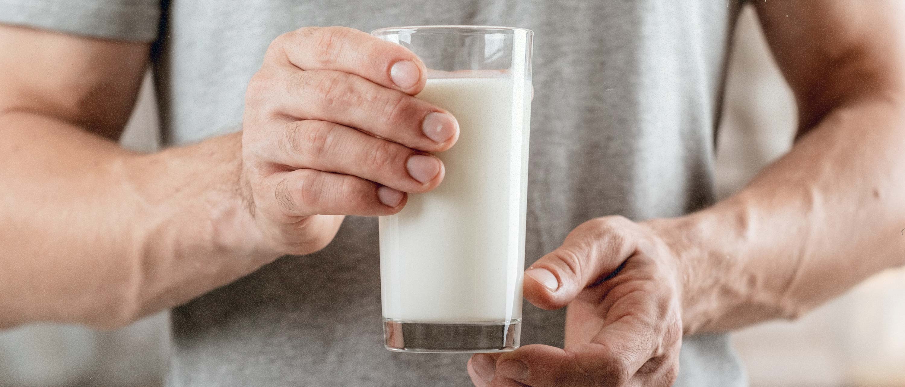 Is dairy good for gains?