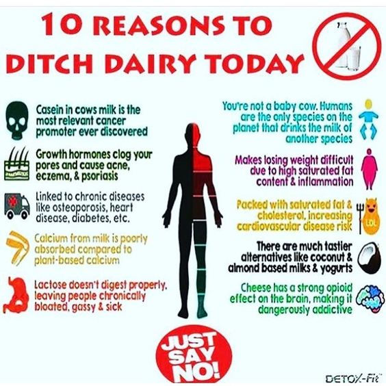 Is dairy really bad for You?