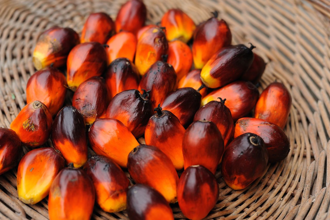 Is dendê oil the same as palm oil?