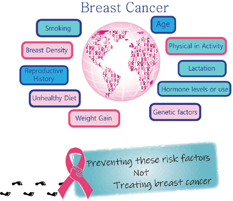 Is diet a risk factor for breast cancer?