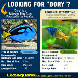 Is Dory a freshwater fish?