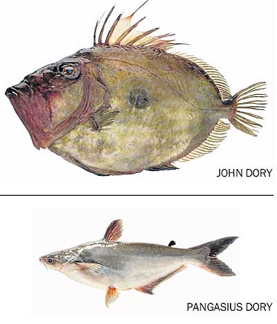 Is Dory fish expensive?