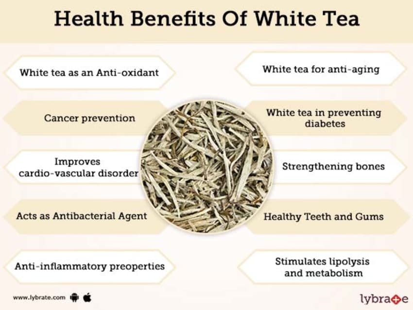 Is drinking white tea good for you?