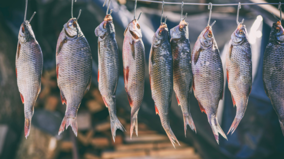 Is dry fish cancerous?