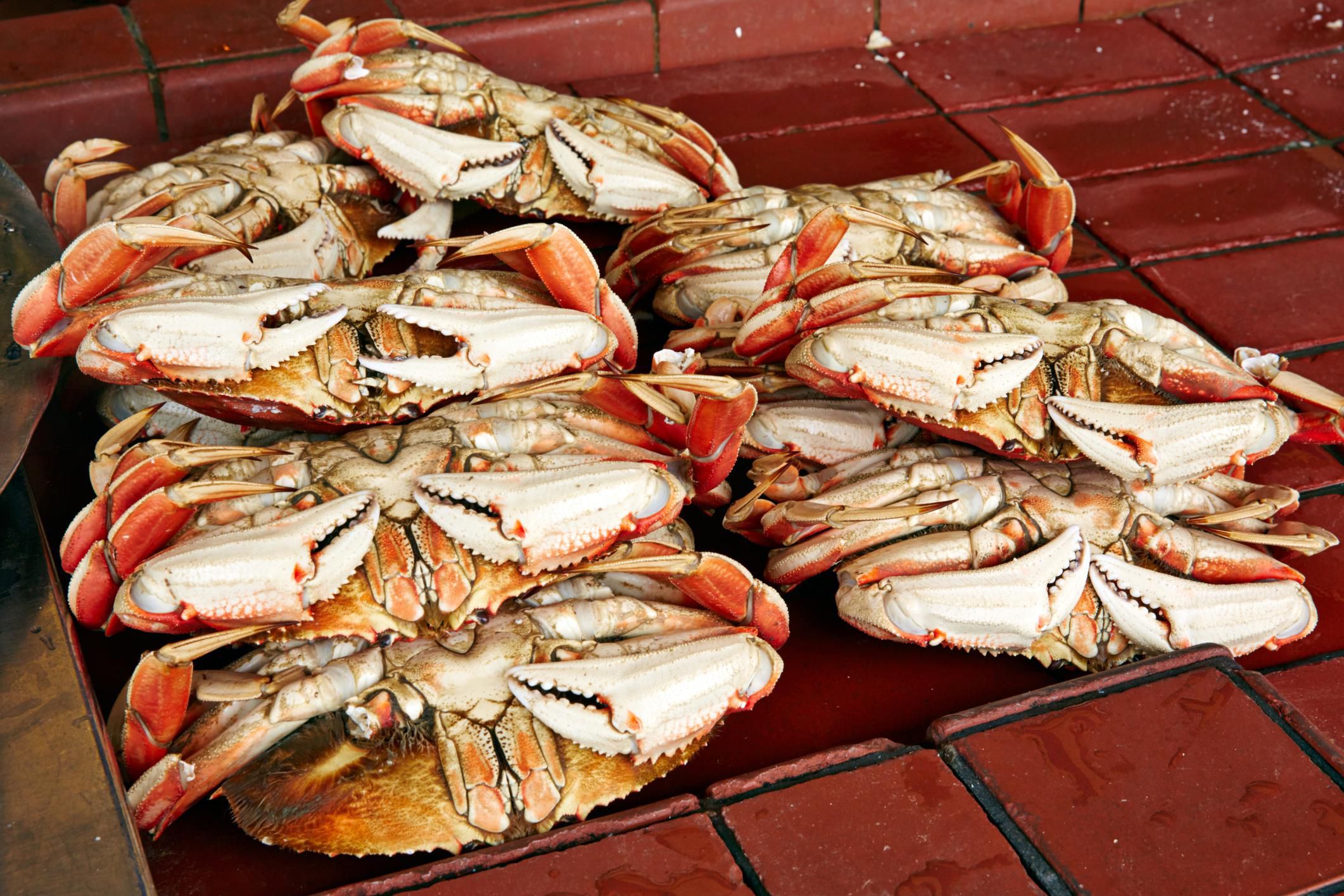 Is Dungeness crab better hot or cold?