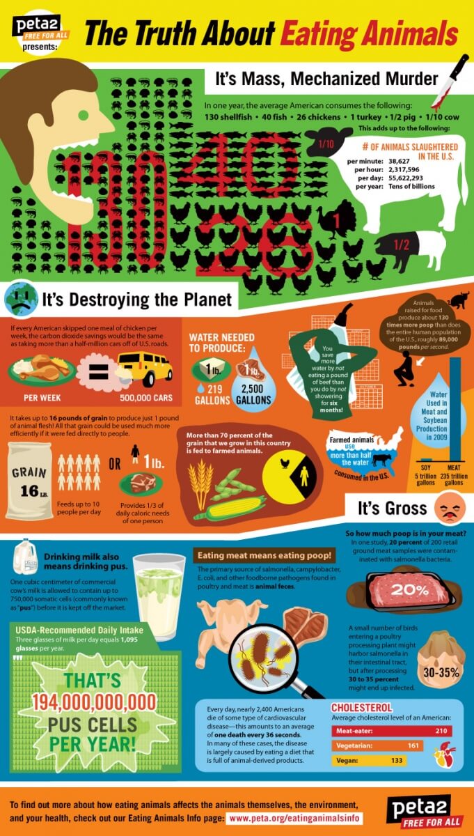 Is eating animal bad for you?