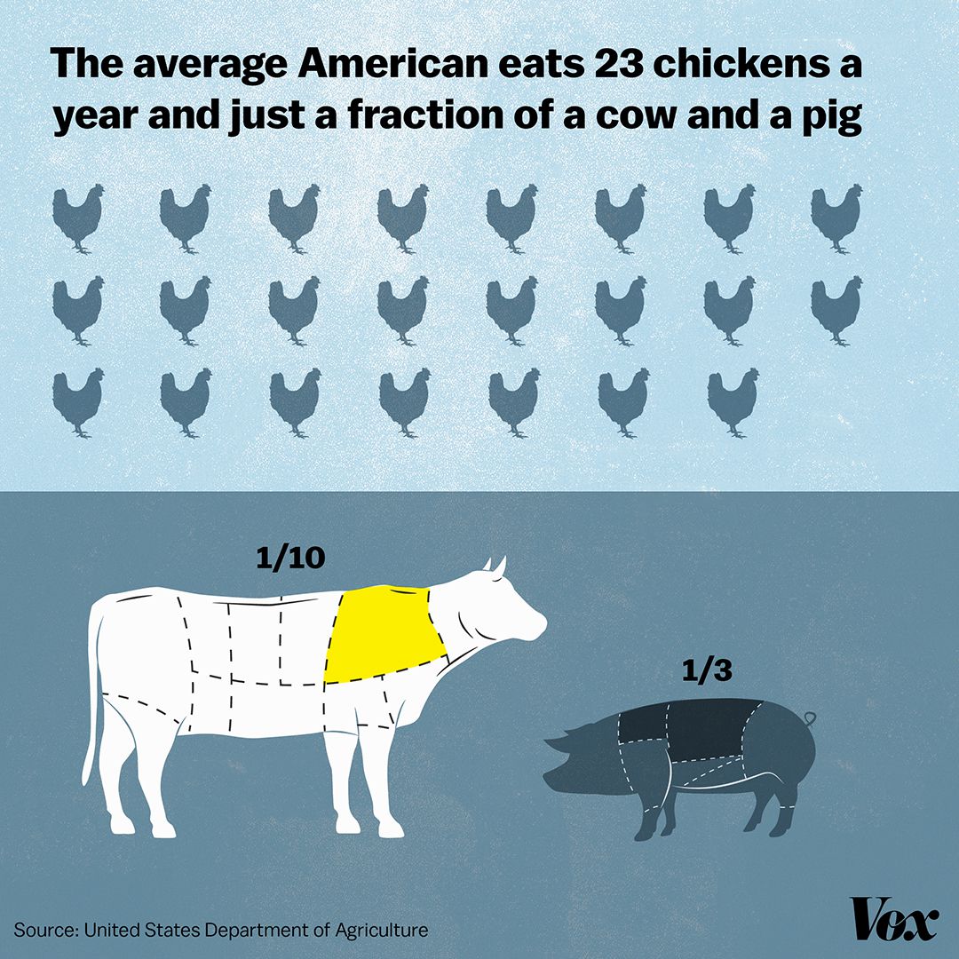 Is eating chicken more environmentally friendly?