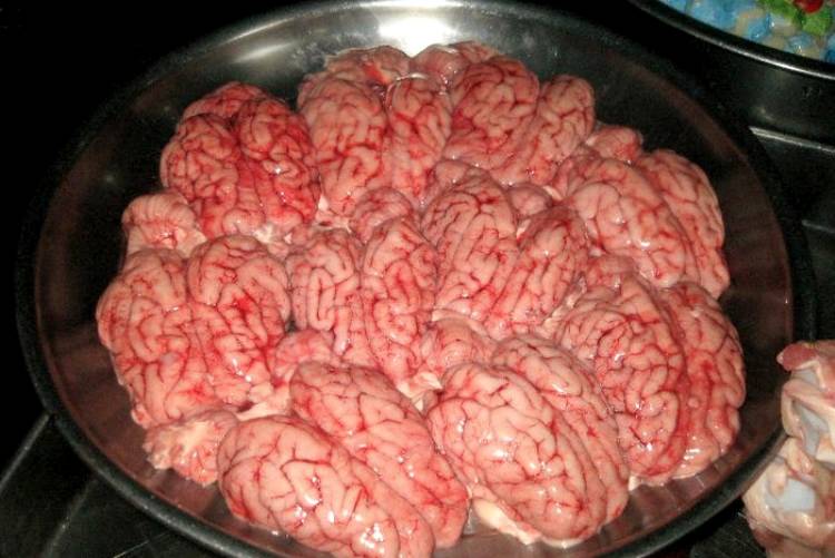 Is eating cow brain healthy?