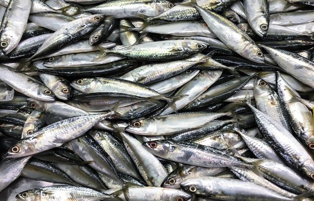 Is eating fish good for high blood pressure?